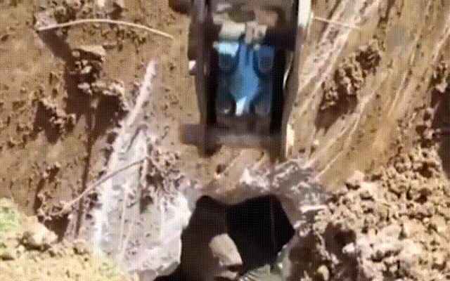 [VIDEO] Construction Workers Rescue a Giant Bear Stuck Underground ...
